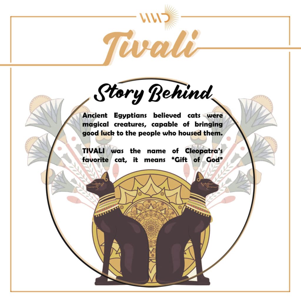 TIVALI - I Make This
